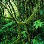 Peru a příroda - Peru